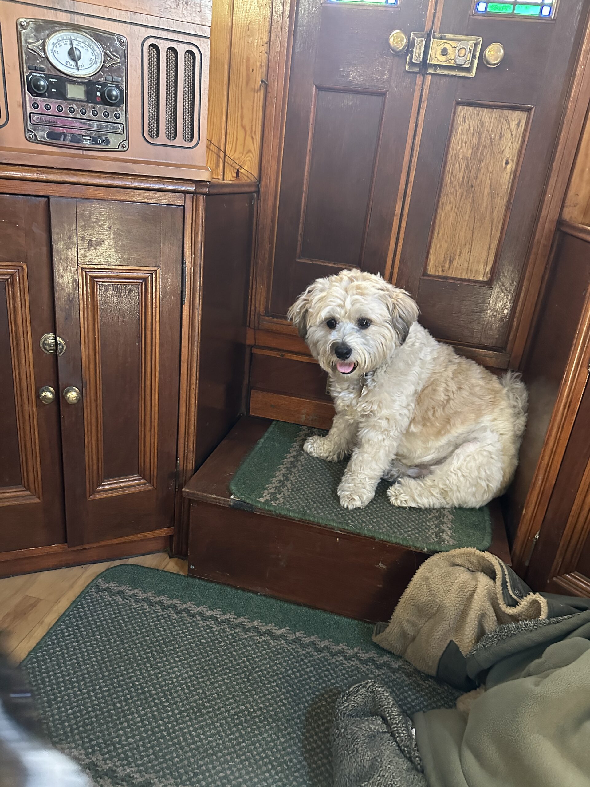 Dog Obedience Training: How 1-2-1 Sessions Can Transform Your Dog’s Behaviour - Fresh Start Dog ...